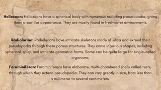 protozoa.pdf Malaria: Malaria is caused by the genus Plasmodium. In ...