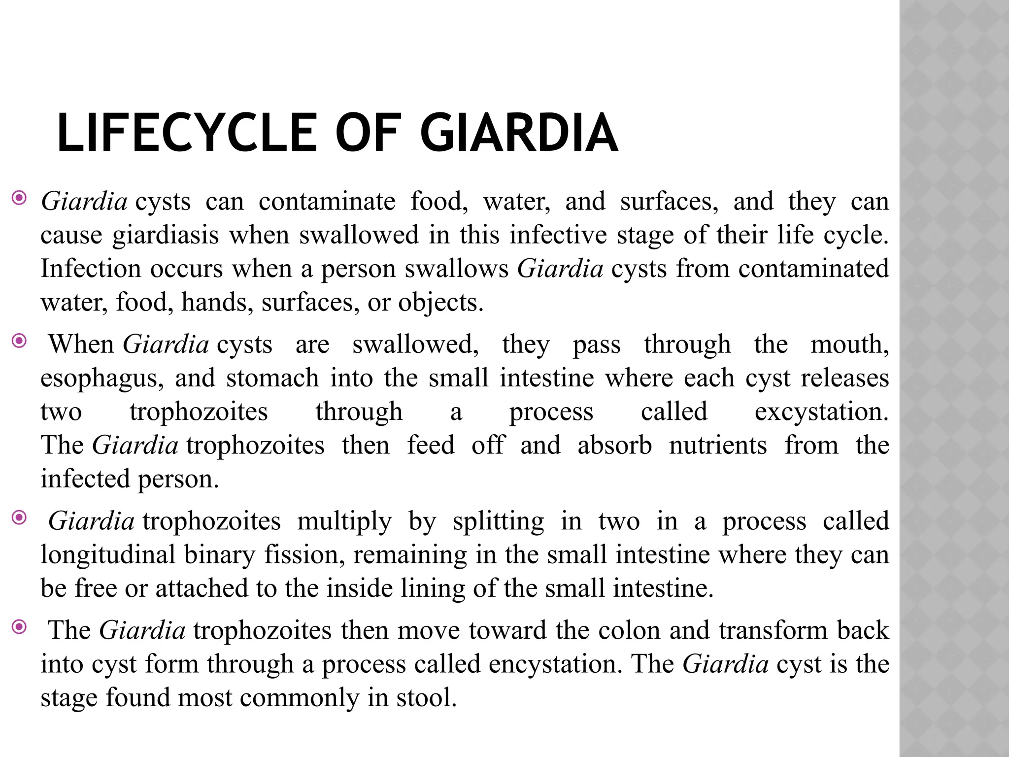 Gastrointestinal and urogenital protozoa.pptx