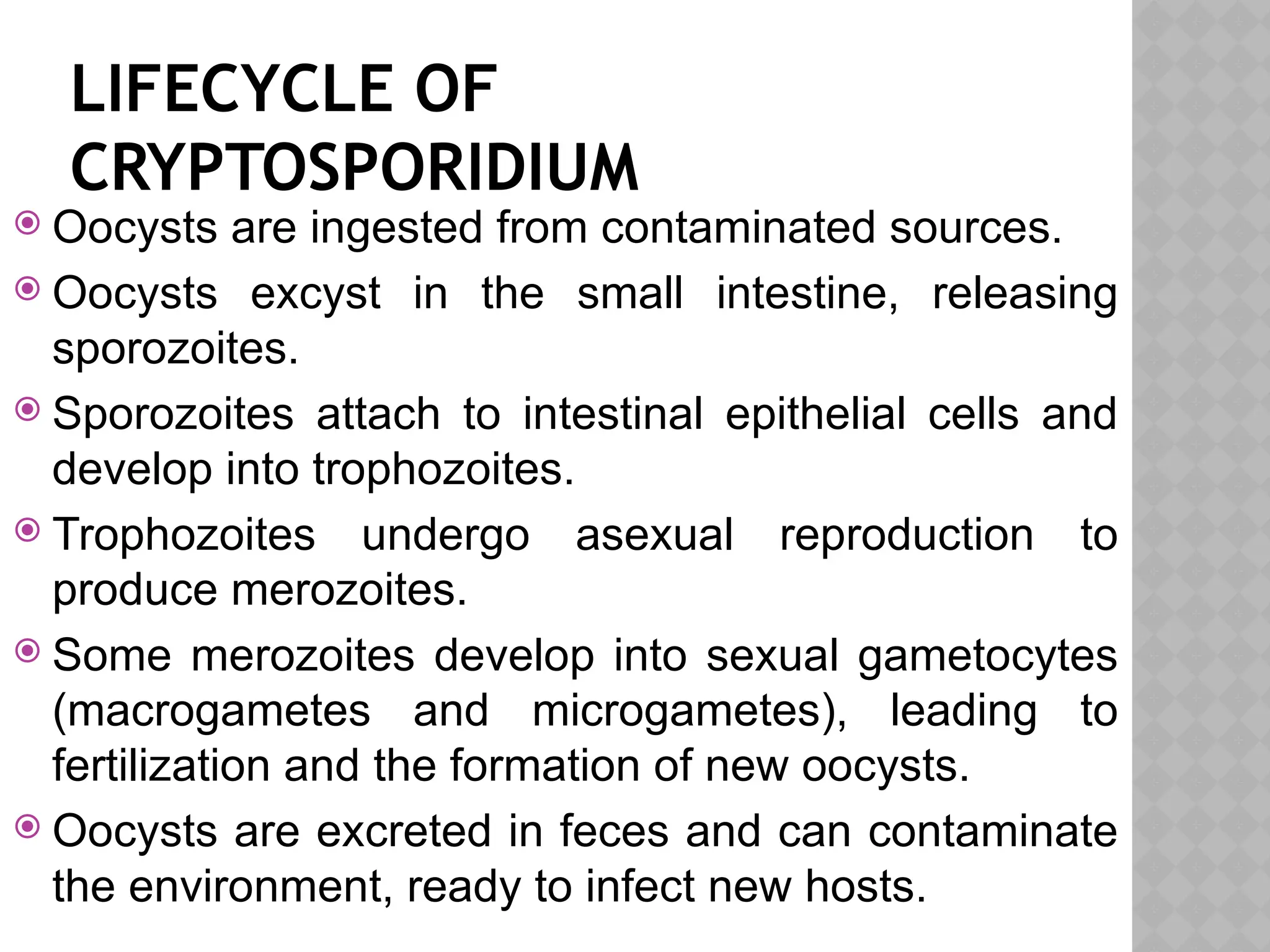 Gastrointestinal and urogenital protozoa.pptx