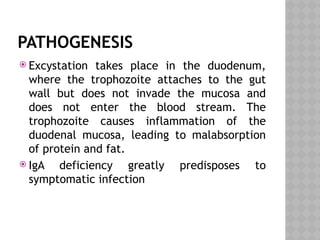 Gastrointestinal and urogenital protozoa.pptx