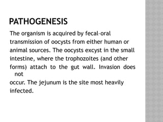 Gastrointestinal and urogenital protozoa.pptx