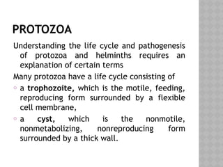 Gastrointestinal and urogenital protozoa.pptx