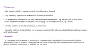Protozoa.PPTX Microscopic Eukaryotes Unicellular | PPTX