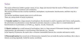 Protozoa.PPTX Microscopic Eukaryotes Unicellular | PPTX