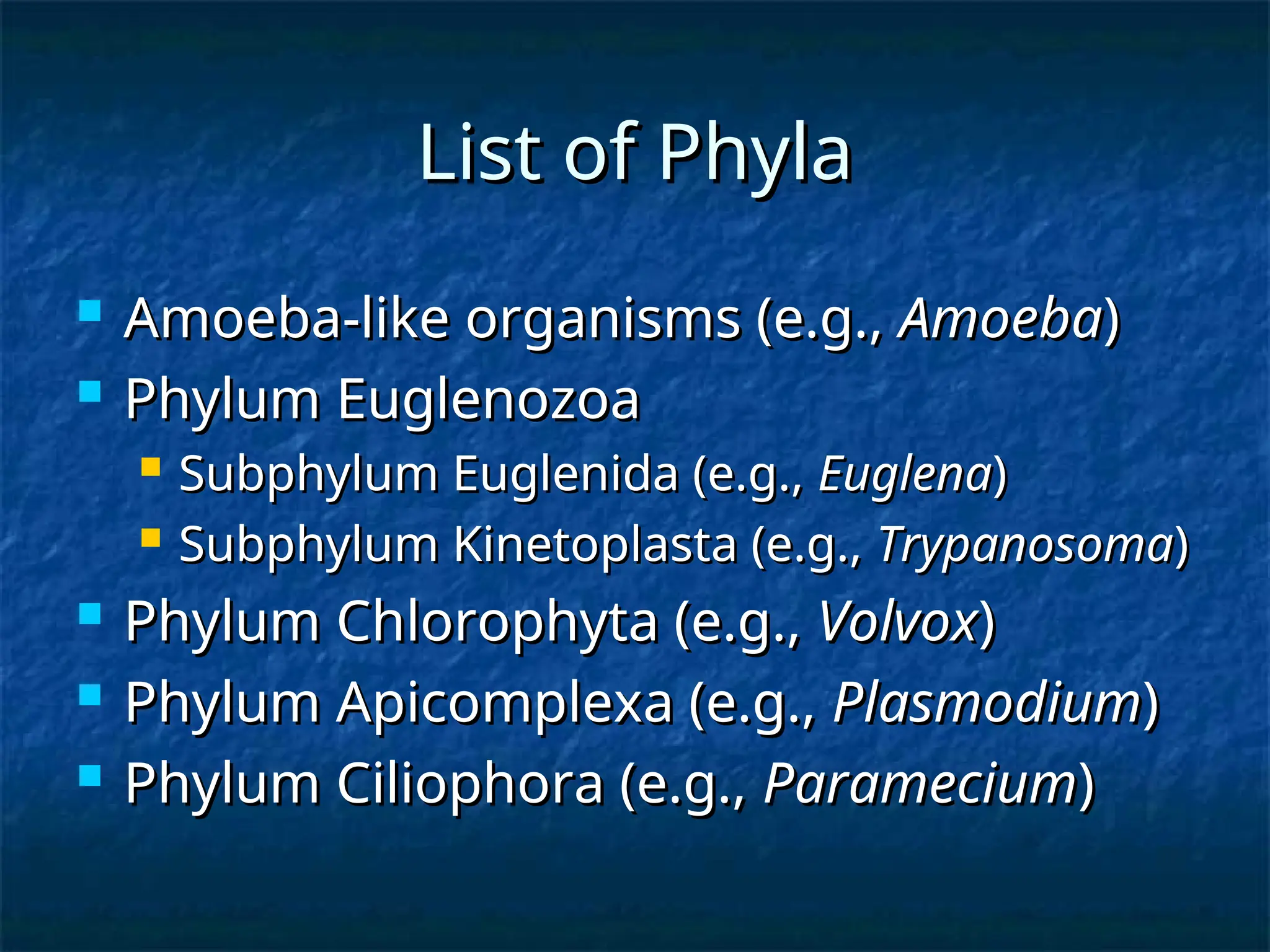 medical Protozoa , human protozoa unicellular parasites.ppt