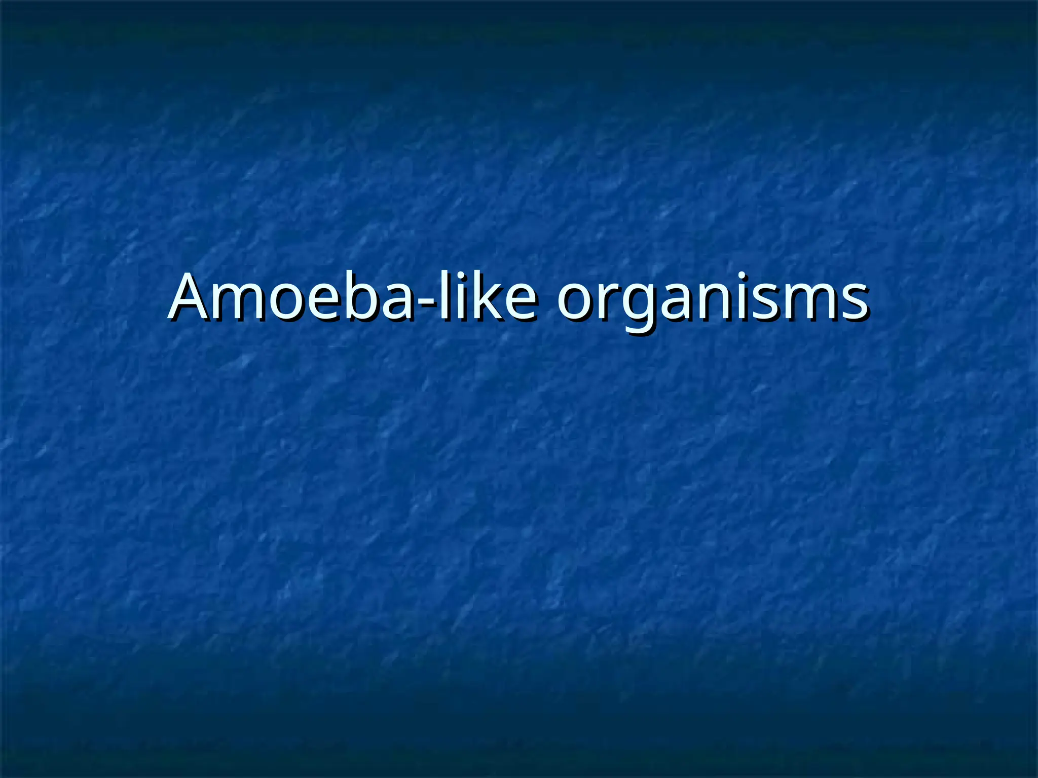 medical Protozoa , human protozoa unicellular parasites.ppt
