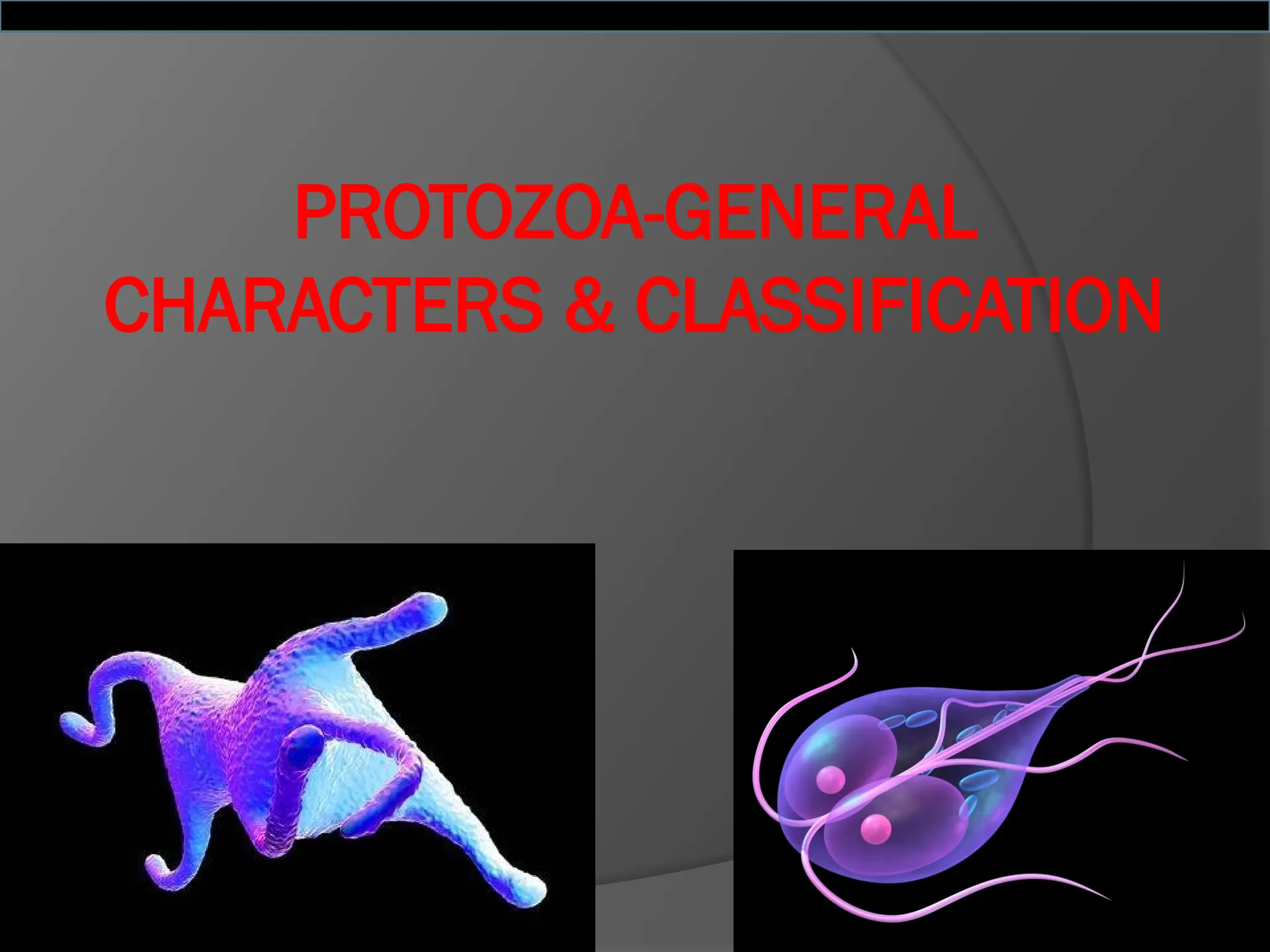 Protozoa types and classification . pptx | PPTX