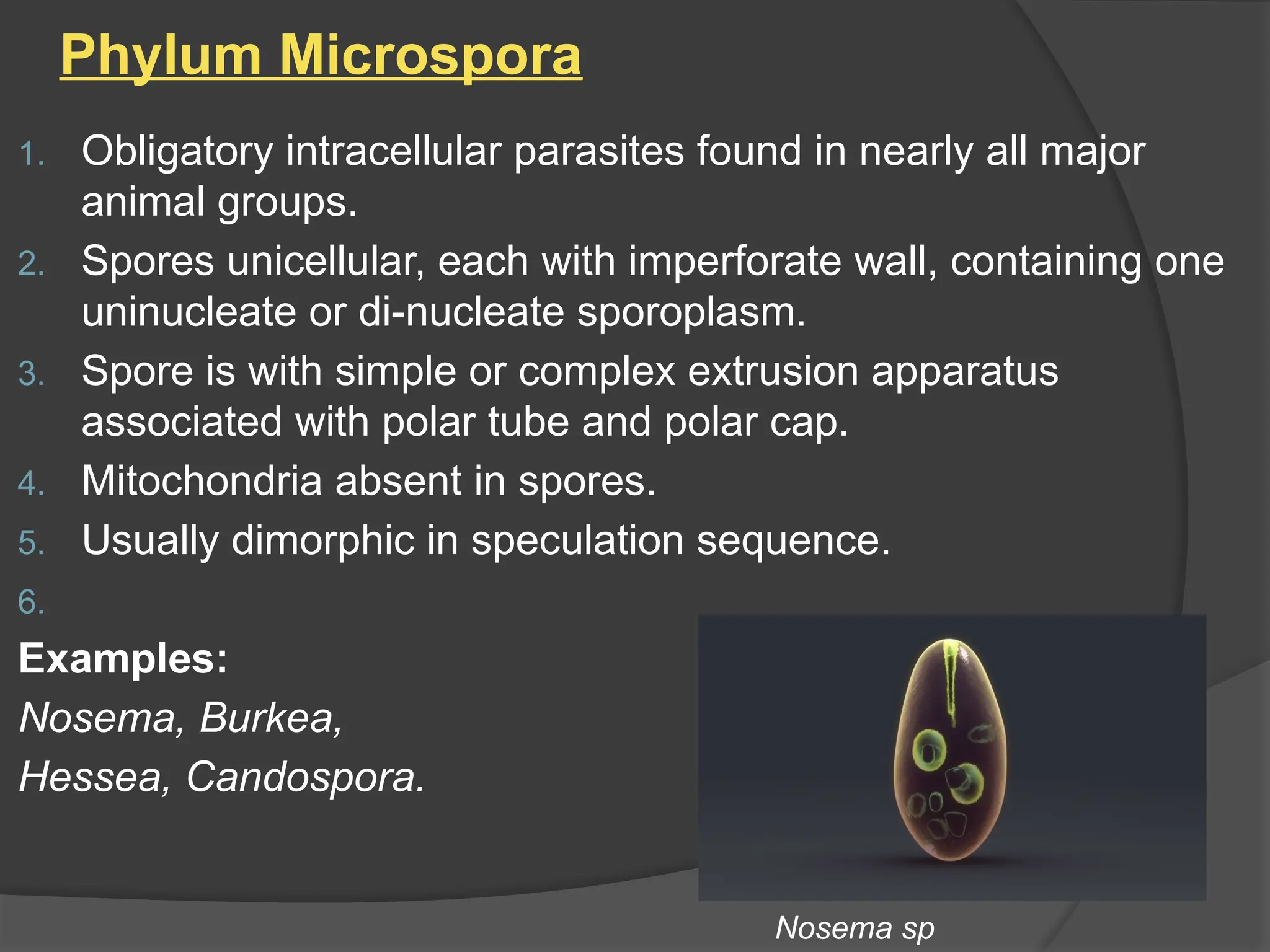 Protozoa types and classification . pptx | PPTX