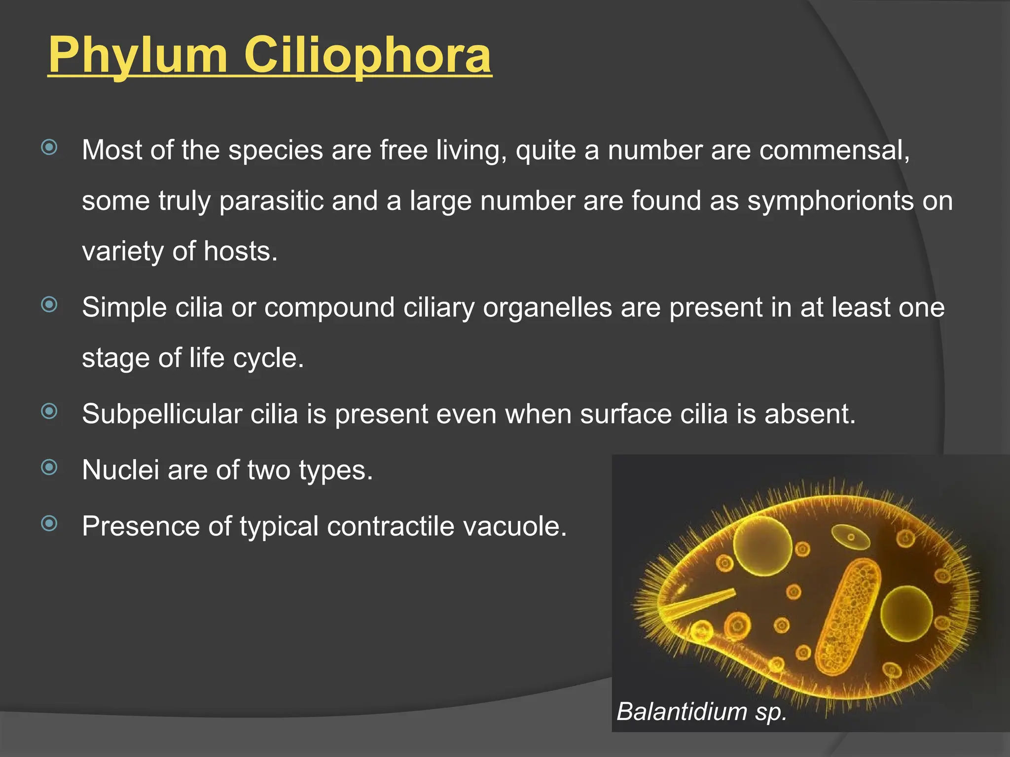 Protozoa types and classification . pptx | PPTX