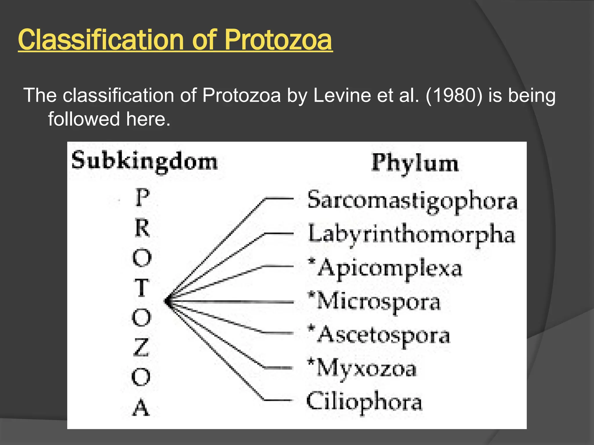 Protozoa types and classification . pptx | PPTX