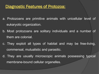 Protozoa types and classification . pptx | PPTX