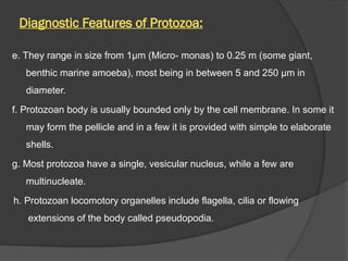Protozoa types and classification . pptx | PPTX