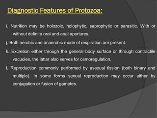 Protozoa types and classification . pptx | PPTX