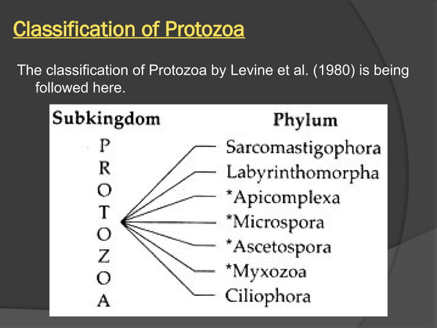Protozoa types and classification . pptx | PPTX