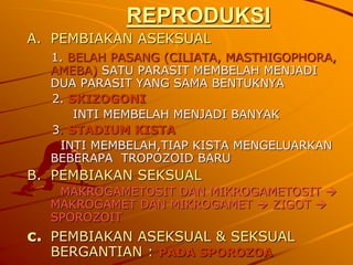 PROTOZOA-Giardia dan Trichomonas .pptx