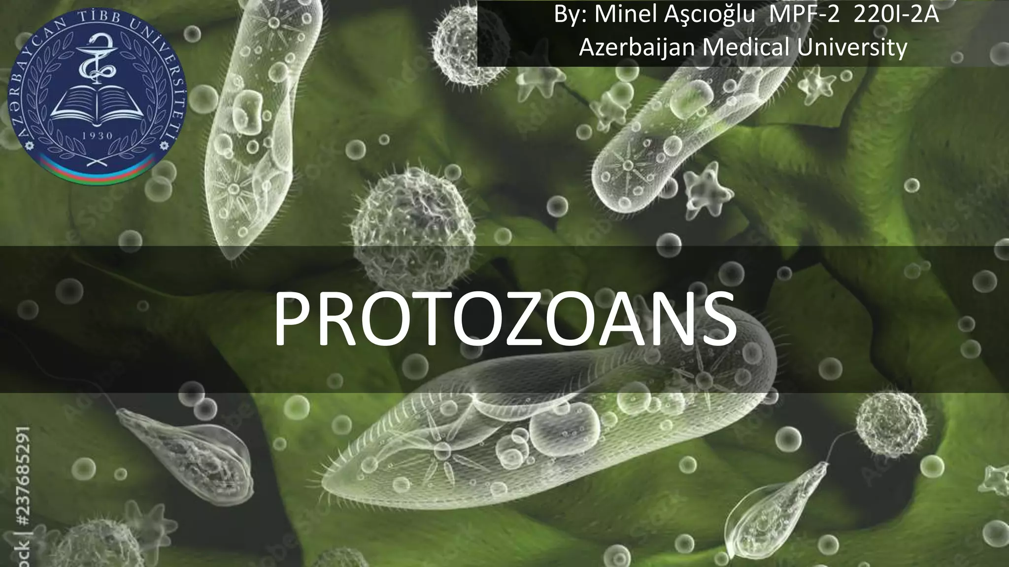 PROTOZOANS features.pptx