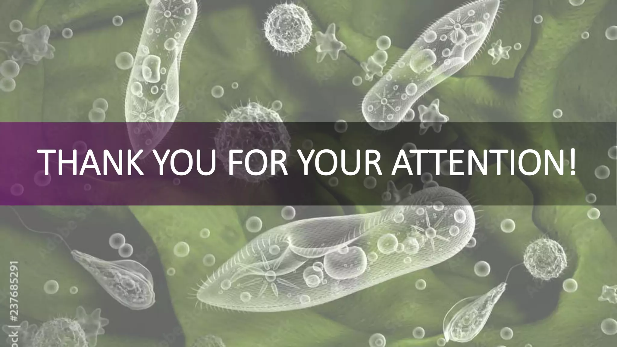 PROTOZOANS features.pptx