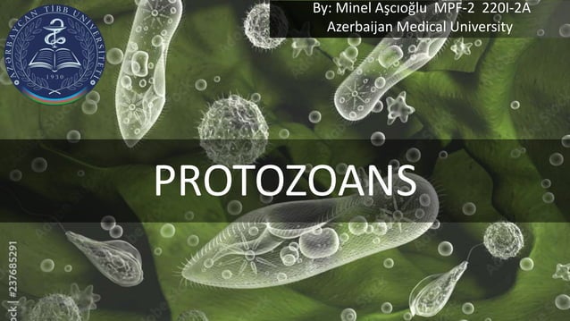 PROTOZOANS features.pptx