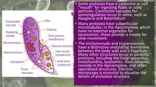 PROTOZOANS features.pptx