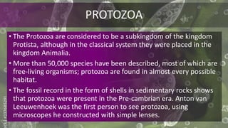 PROTOZOANS features.pptx