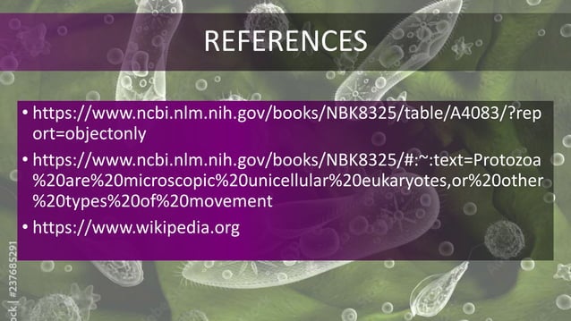PROTOZOANS features.pptx