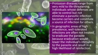 PROTOZOANS features.pptx