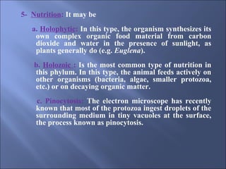Protozoa 1 | PPT