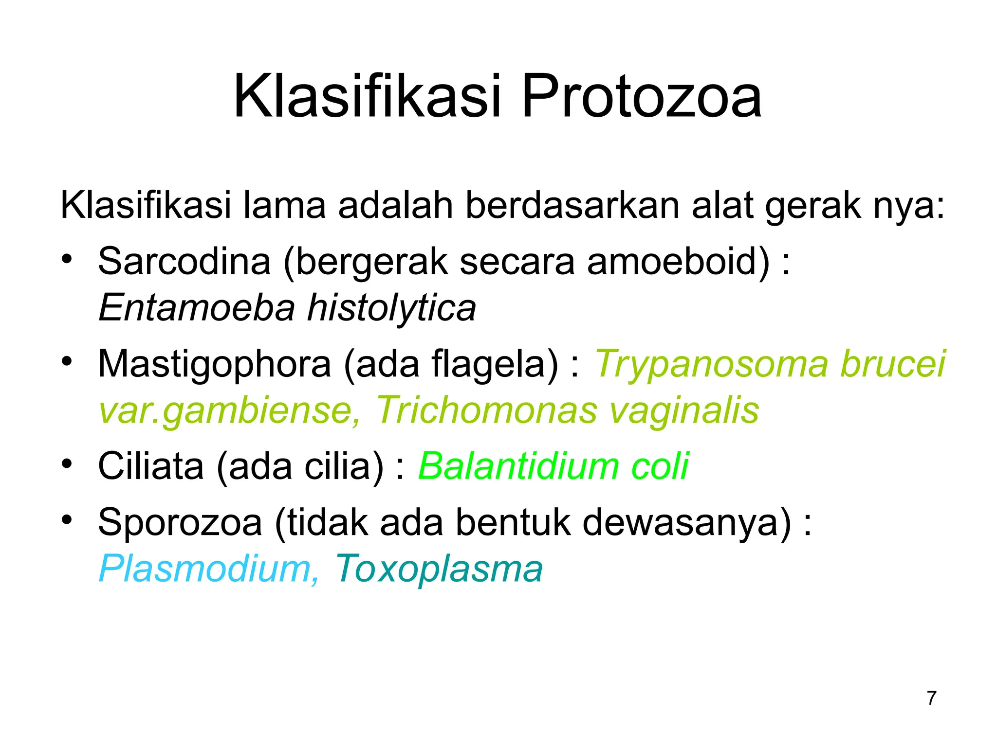 Protozoa : Ciri Khas, Daur Hidup dan SIstem Tubuh | PPT