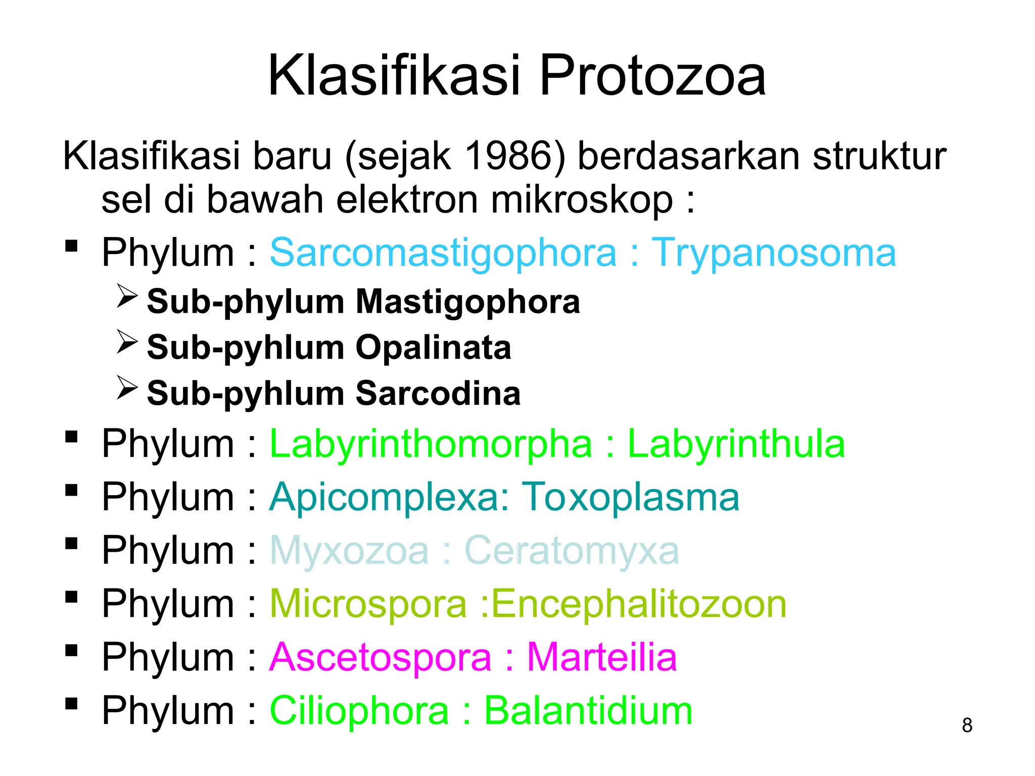 Protozoa : Ciri Khas, Daur Hidup dan SIstem Tubuh | PPT