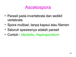 Protozoa : Ciri Khas, Daur Hidup dan SIstem Tubuh | PPT