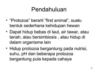 Protozoa : Ciri Khas, Daur Hidup dan SIstem Tubuh | PPT