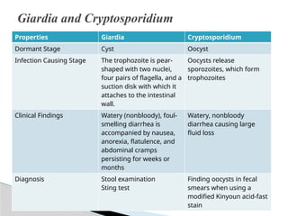 Protozoa 2-1.pptx Clinical Parasitology. | PPTX