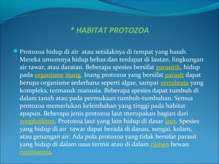 Protozoa Presentation | PPT