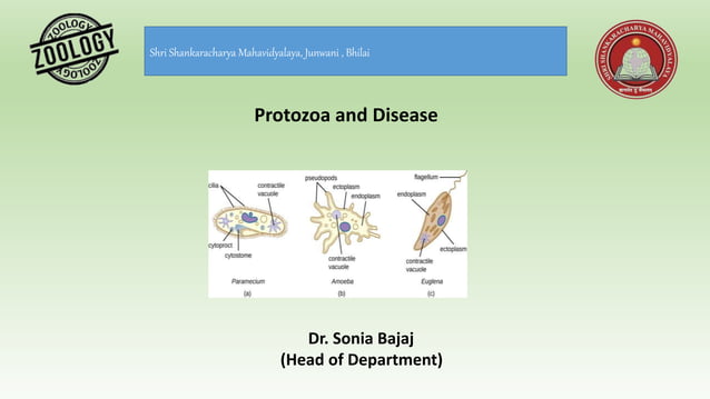Protozoa and disease | PPTX | Biological Sciences | Science