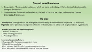 Protozoa and disease | PPTX