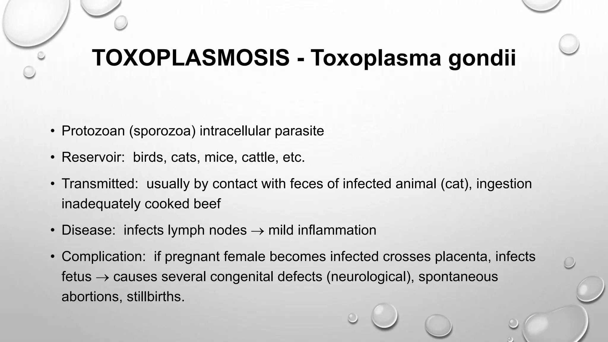 Protozoa and Helminth Parasites ppt by Dr.Prince.C.P | PPTX