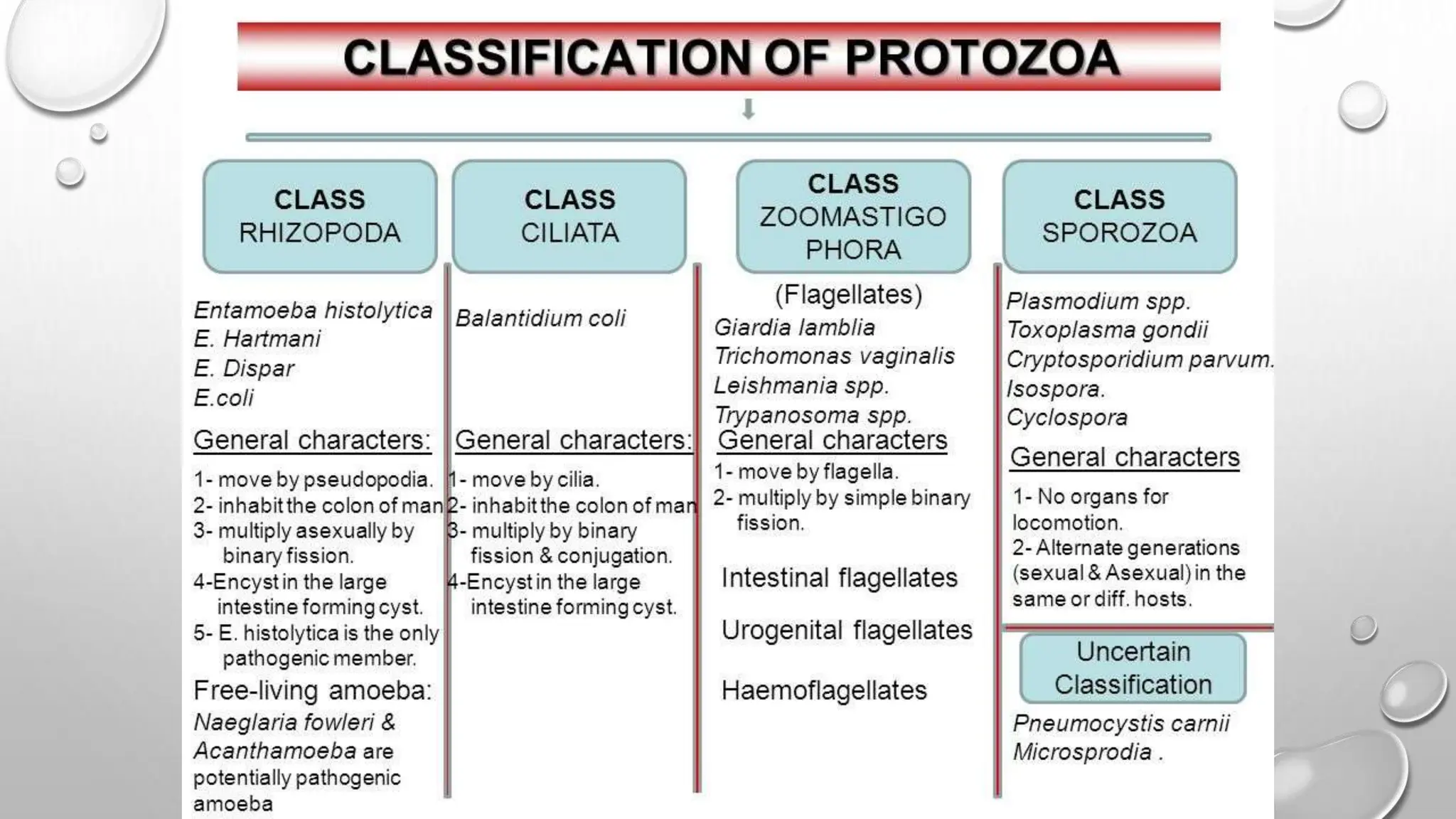Protozoa and Helminth Parasites ppt by Dr.Prince.C.P | PPTX
