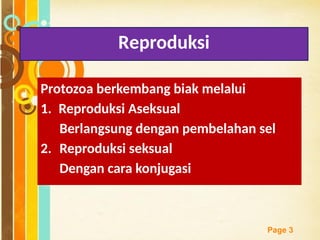 PROTOZOA ANESS BUDIDAYA MIKROBA BEGUNA.PPTX.pptx