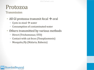 If sexy dt dr Protozoa atf.pdfnmmmmf bre | PPT