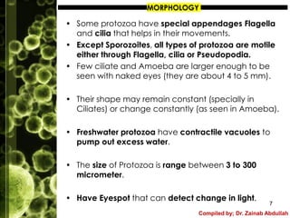 It is all about protozoa_complete_pdf.pdf
