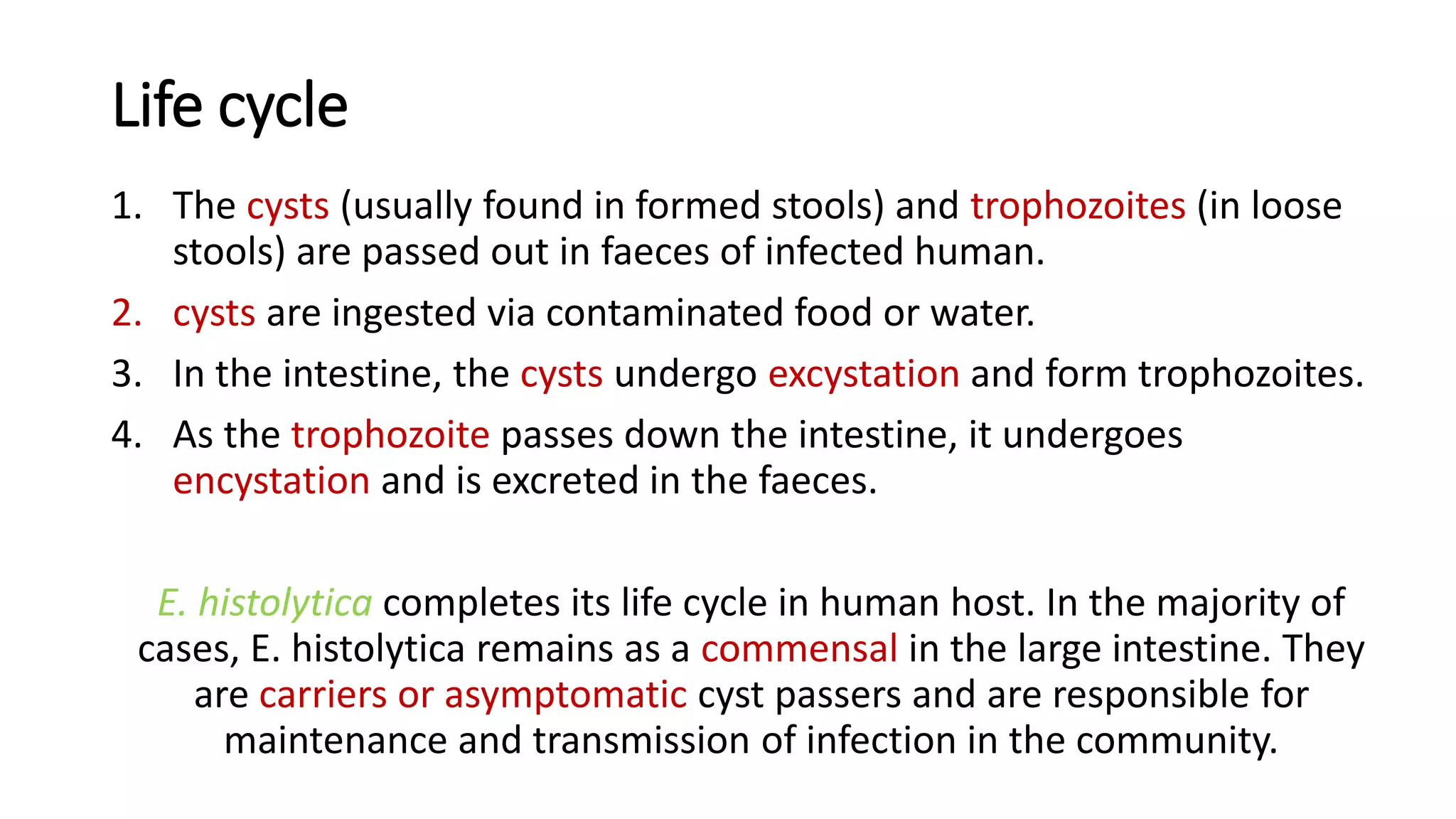 Protozoa and Entamoeba histolytica | PPTX