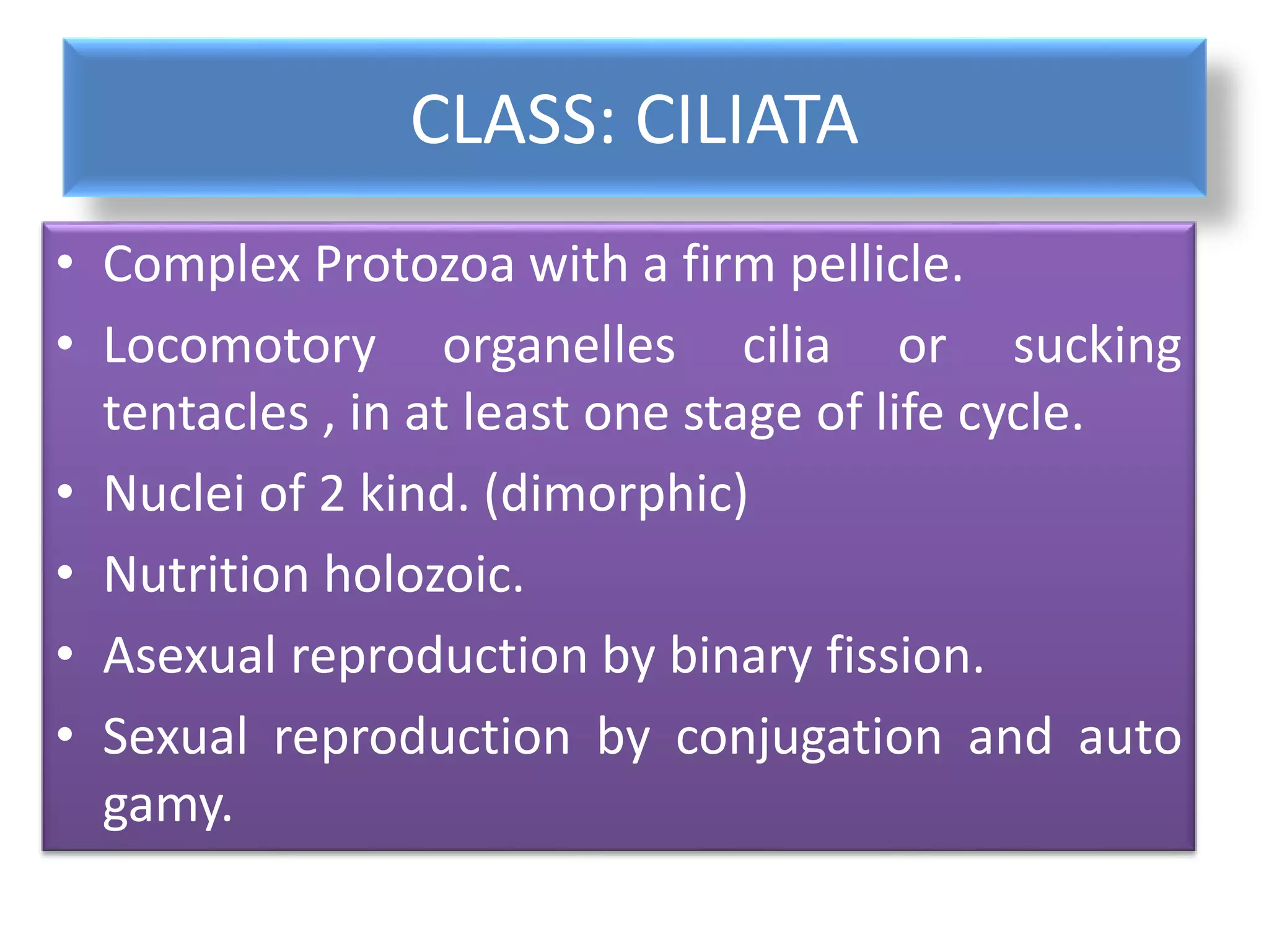 Clear Concept of Protozoa fish | PPTX