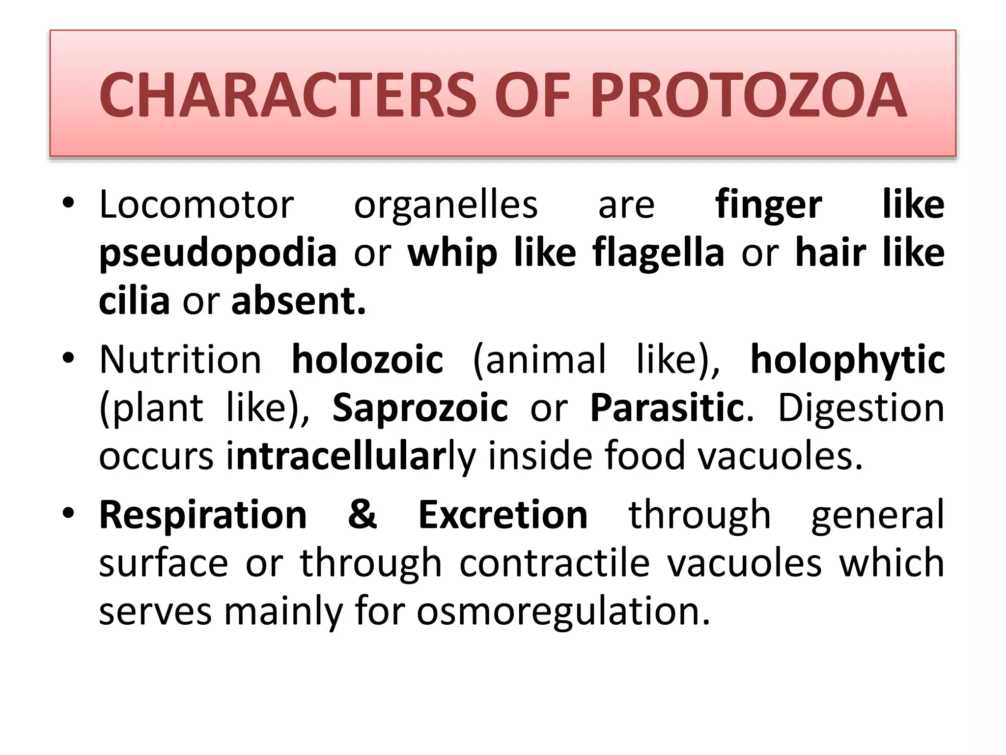 Clear Concept of Protozoa fish | PPTX