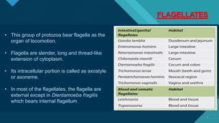 Protozoa I | PPTX
