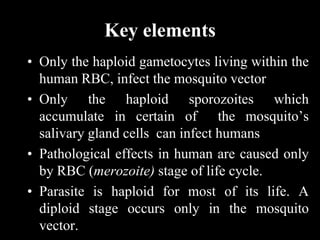 Protozoa III | PPT | Reproductive Health | Diseases and Conditions