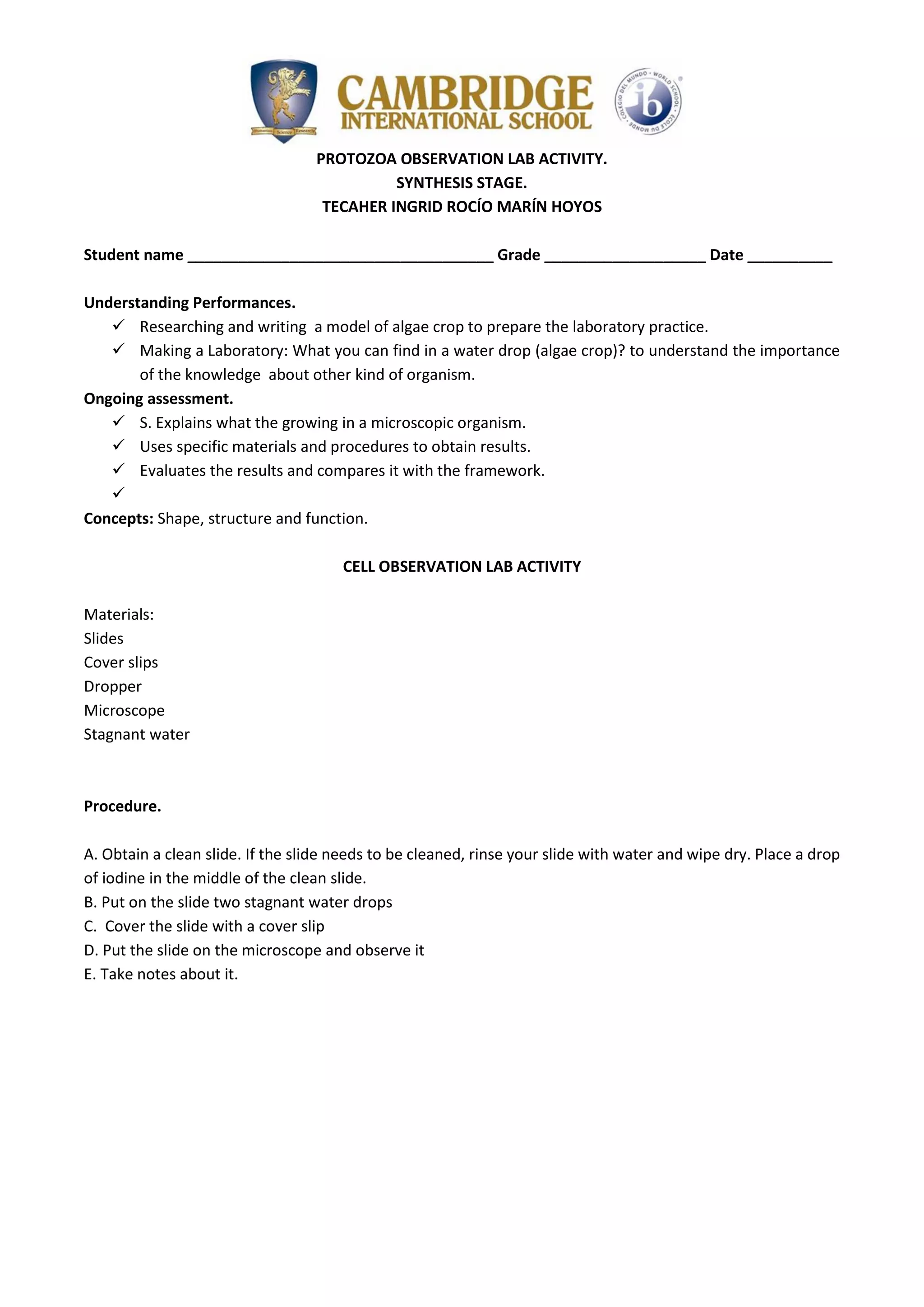 Protozoa lab sevenh grade | PDF