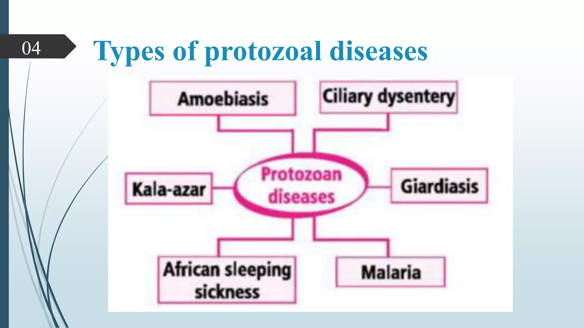 Protozoal diseases and helminthiasis | PPTX