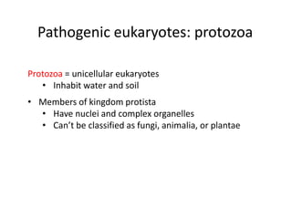 7 - Protozoal Pathogens | PPT