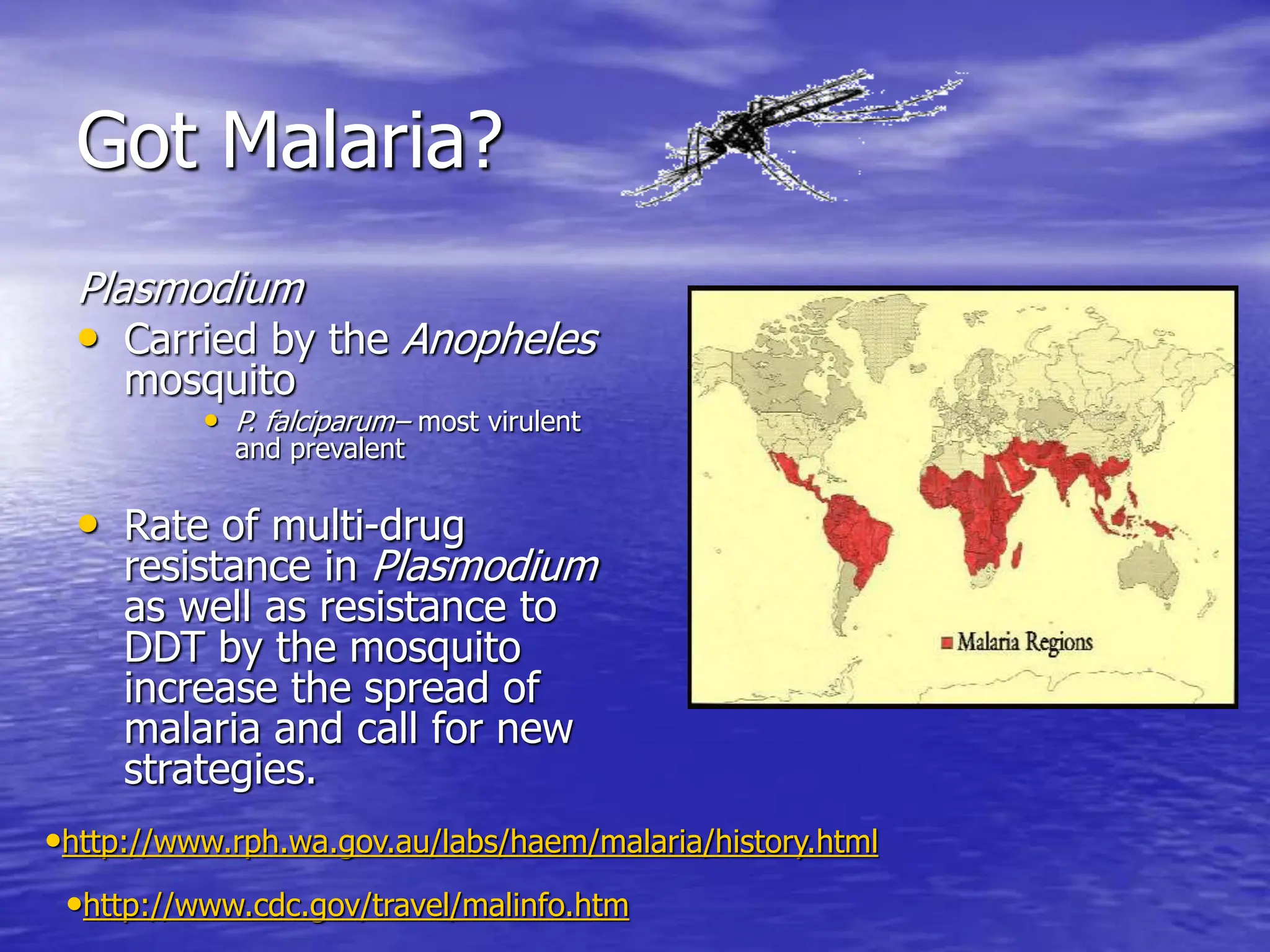 phylum Protozoa : Protozoan Diseases.ppt