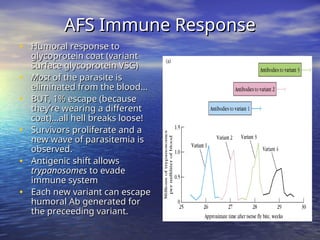 Protozoan Diseases and their characteristics | PPT